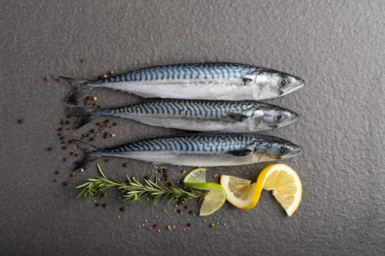 Macrou Scomber Scombrus – Copanex